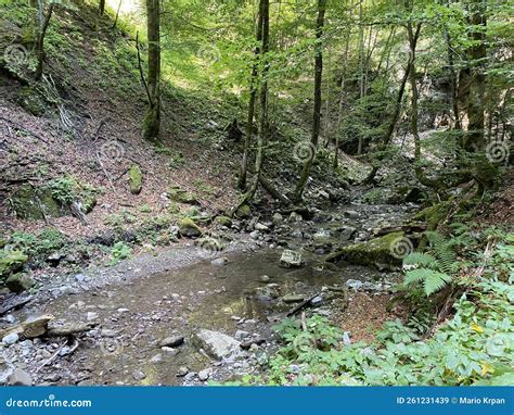 Special Geomorphological Reserve Devil`s Pass Canyon Or Devil`s Passage