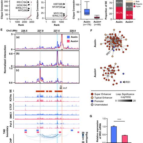 pol ii mediated chromatin interactions are greatly reduced by ctcf
