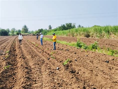 Sustainability Initiative Event Cphi India Api