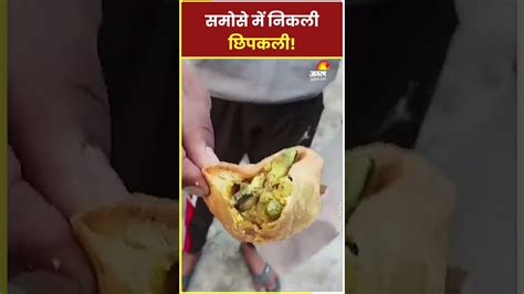 Up News Hapur में एक दुकान पर शख्स ने खाया समोसा पहले निवाले में