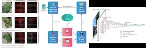 Tree Disease Detection Ai Solutions For Agriculture