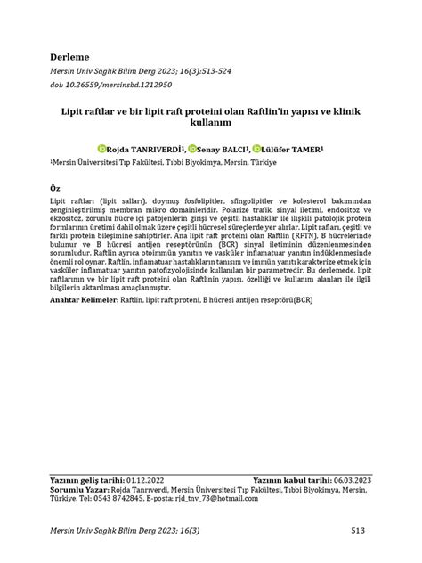 Lipit Raftlar Ve Bir Lipit Raft Proteini Olan Raftlin In Yap S Ve