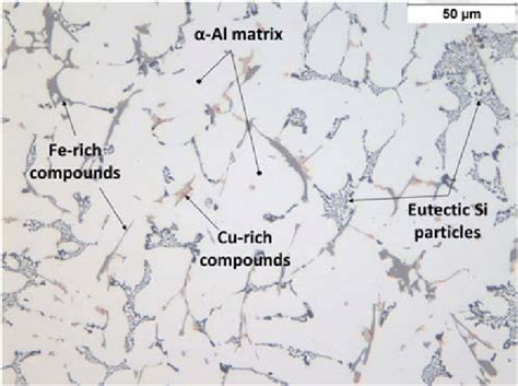 Typical Microstructure Of A Gravity Die Cast Hypoeutectic Alsicufe Alloy Download