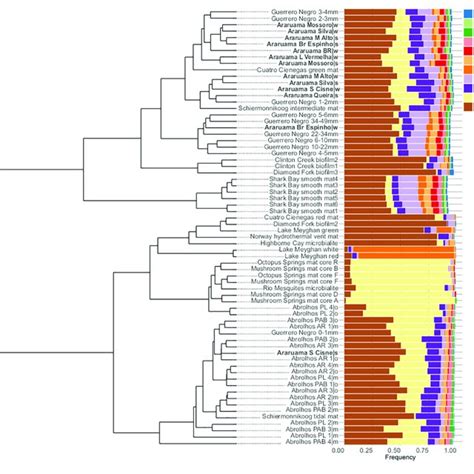 Hierarchical Clustering And Bar Plots Of Relative Abundances Of The