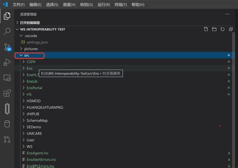 精华文章置顶 使用vscode 进行iris 开发 intersystems developer community