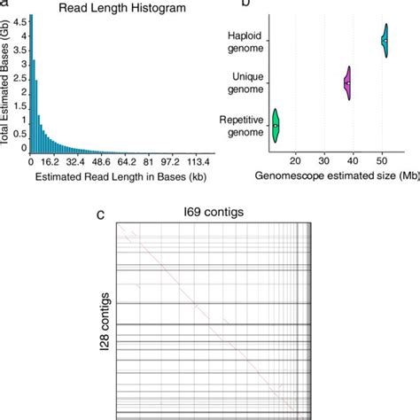 Quality Control Checks Implemented On Different Steps Of Genome