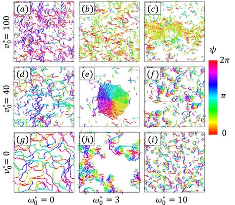 Representative Simulation Snapshots Each Of The Disk Shaped Particles