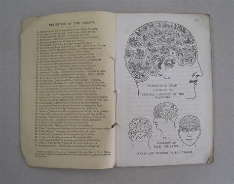 Wells New Descriptive Chart For The Use Of Examiners Giving A Delineation Of The Character