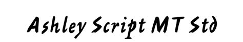 Details Of Ashley Script Mt Std Font