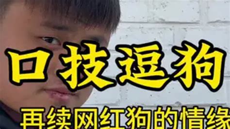 原创视频 狗子 狗王才艺秀 再次故地重游！ Youtube