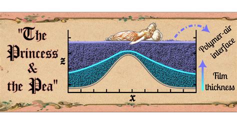 Simulations Of Thin Polymer Films On Flat And Curved Substrates Macromolecules