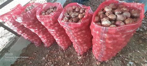 Moongil Trading Company Added A Moongil Trading Company