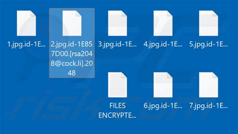 2048 Ransomware Decryption Removal And Lost Files Recovery Updated