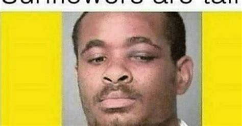 Stolen Memes Dump Album On Imgur