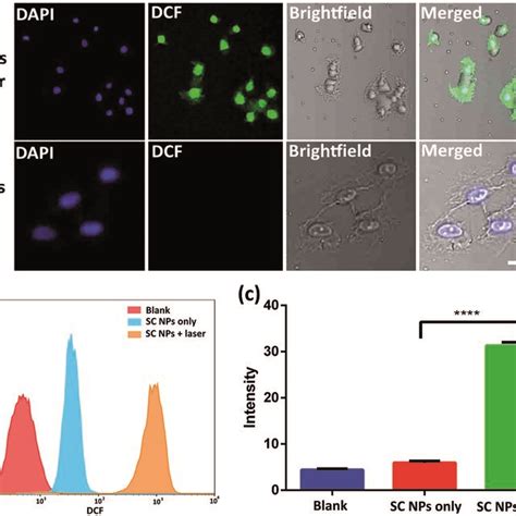 Segmentation Example Form Left To Right Original Image The Result Of