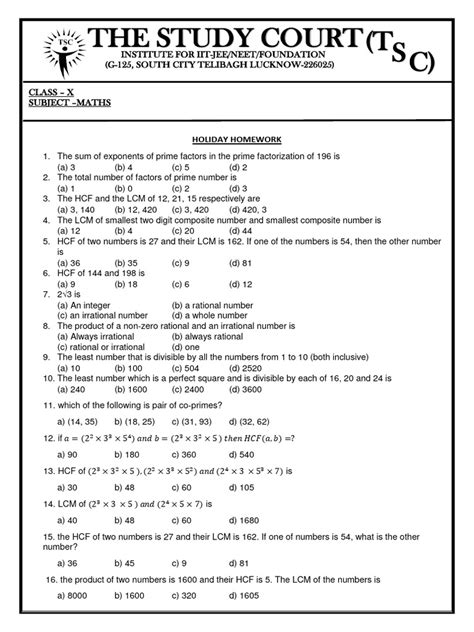 Class 10 Holiday Homework Maths Pdf Numbers Rational Number