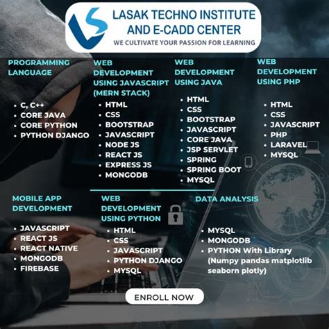 Programming Languages And Web Development Courses Lasak Techno Institute And Consultancy