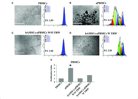 Facs Analysis Of Pbmc Proliferation Co Cultured With Hamscs A Download Scientific Diagram