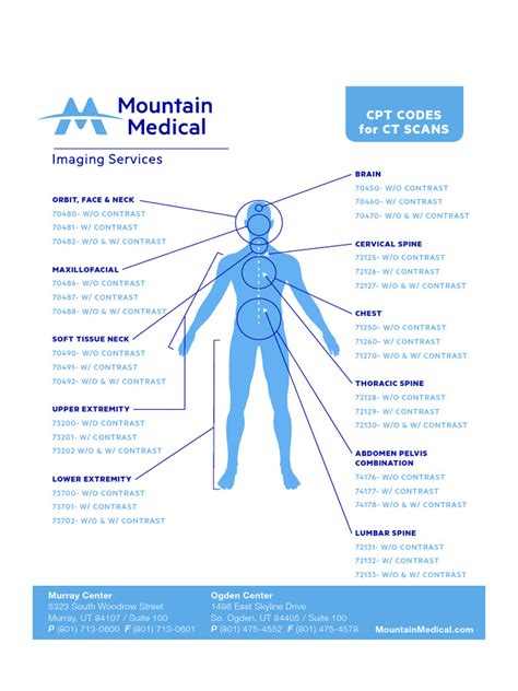 Open Open Cpt Codes Pdf Vertebral Column Human Leg