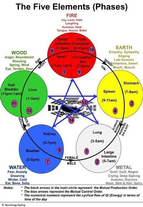 Traditional Chinese Medicine Acupuncture Fifth Element Traditional