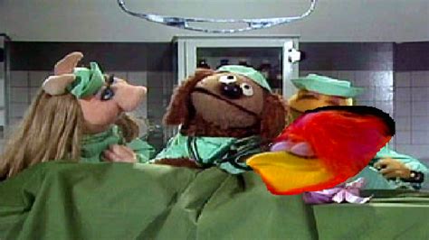What If Doris Bird Appeared In Veterinarians Hospital Muppet Wiki