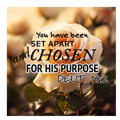 Understanding Holiness The Divine Call To Be Set Apart Life In A
