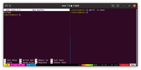 Cómo Terminar Procesos Que No Responden En Linux Con Kill Y Pkill Tecnoloco