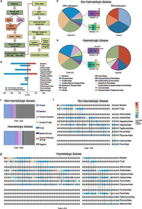 The Viral Composition Pathogen Diversity And Co Infection Analysis Of