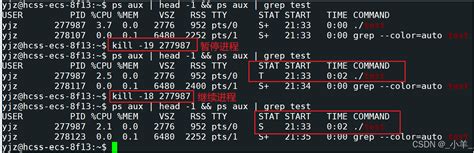 【linux系统】os、进程pcb、状态、进程的切换和调度，虚拟地址空间 Csdn博客