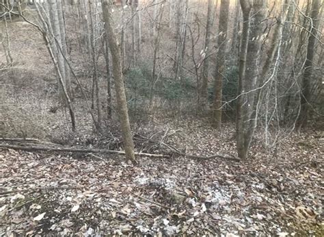 23 Debbie Ln Slade Ky 40376 Trulia