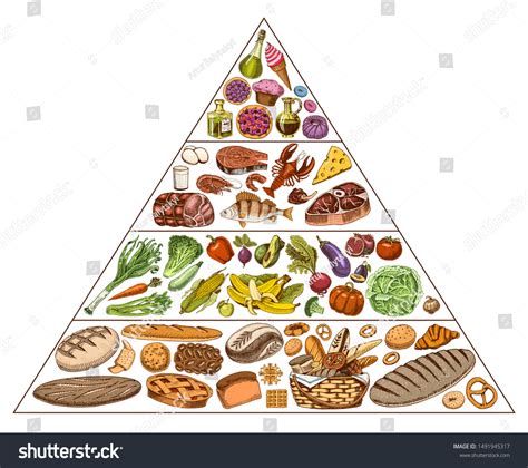 Healthy Food Plan Pyramid Infographics Balanced Stock Vector Royalty