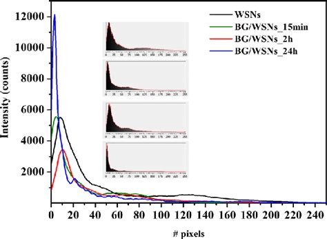 Histogram Of Grayscale Values For Wsns Bgwsns15 Min Bgwsns2h And