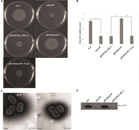 Takara Restriction Enzyme Buffer Chart Ponasa
