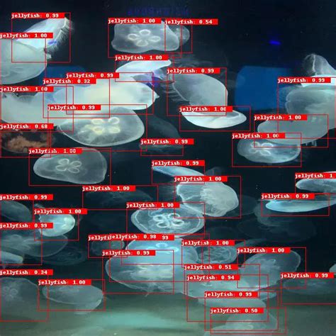 Building Custom Computer Vision Models With NVIDIA TAO Toolkit And Roboflow