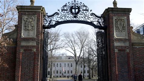 ai chatbot to help teach intro course at harvard this fall