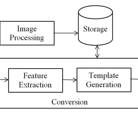 Classification Of Ids Download Scientific Diagram