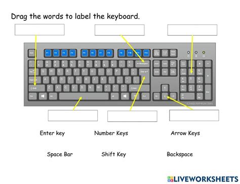 Basic Keyboard Keys Worksheet