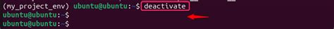How To Install Pandas On Ubuntu Practical Methods Greenwebpage Community