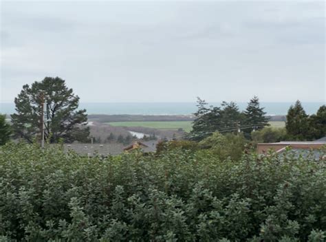 What Is Selective Cutting Benefits For Forest Management