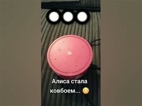 ШОК КОНТЕНТ АЛИСА СТАЛА КОВБОЕМ🤯 - YouTube