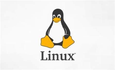 【linux操作系统】linux和ubuntu是什么关系？两者有区别吗？ 哔哩哔哩