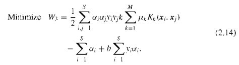 multi kernel support vector machines