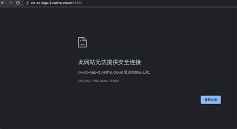 谷歌浏览器访问链接提示errsslprotocolerror · Natfrp Wiki · Discussion 189 · Github