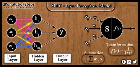 understanding the perceptron model in a neural network by neelam
