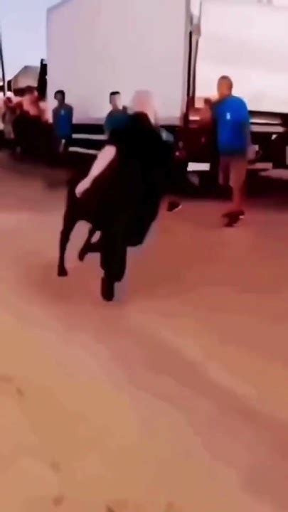 Hilarious Transitional Hooks You Cant Miss😂 Trendingnow Funny Transition Transitions