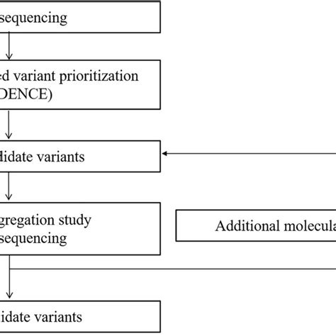 The Acmg 2015 Classifications Of Prioritized Variants N
