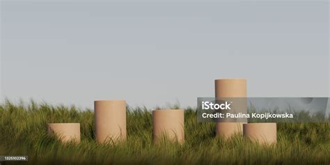 3d 배경 베이지 색 연단 디스플레이 세트 태양 빛과 그림자 녹색 잔디 필드입니다 화장품 미용 제품 프로모션 자연 받침대 여름 풍경 모형 추상 3d 렌더링 일러스트레이션 0