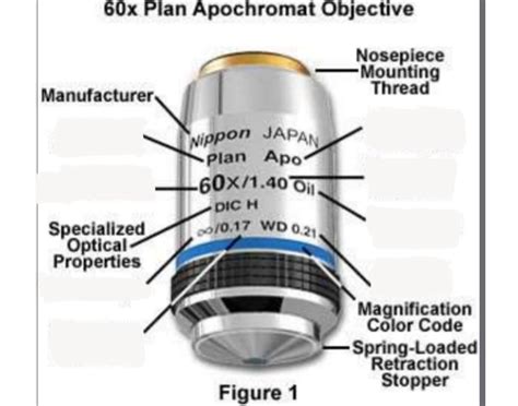 Objective Markings Quiz