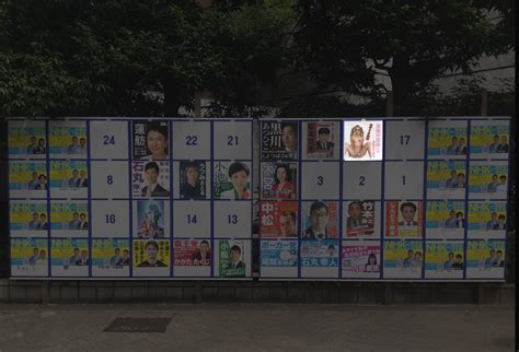 東京知事選挙でほぼ全裸の女性のポスター掲示SNSで苦言が相次ぐ 宮崎市佐土原町 新五上自治会の日記