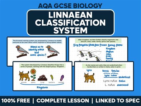 Gcse Aqa Biology Complete Lesson Linnaean Classification System